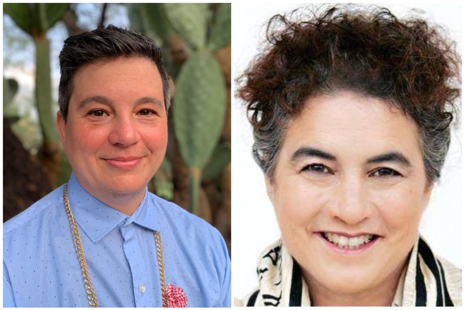 CLGS Jewish Queeries Series: Talmudic Reflections on Gender Diversity ...